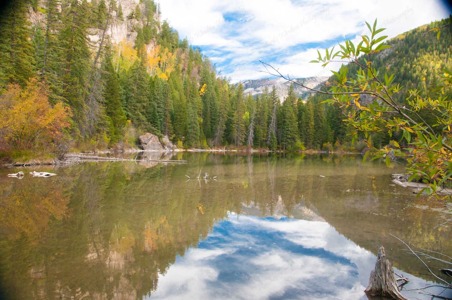 Reflections on Lizard Lake