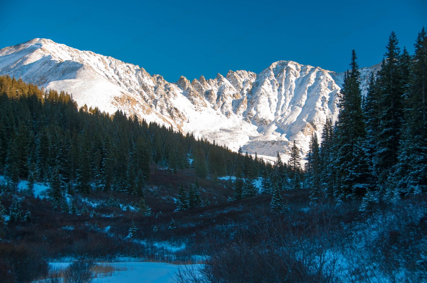 The Path to Mayflower Gulch