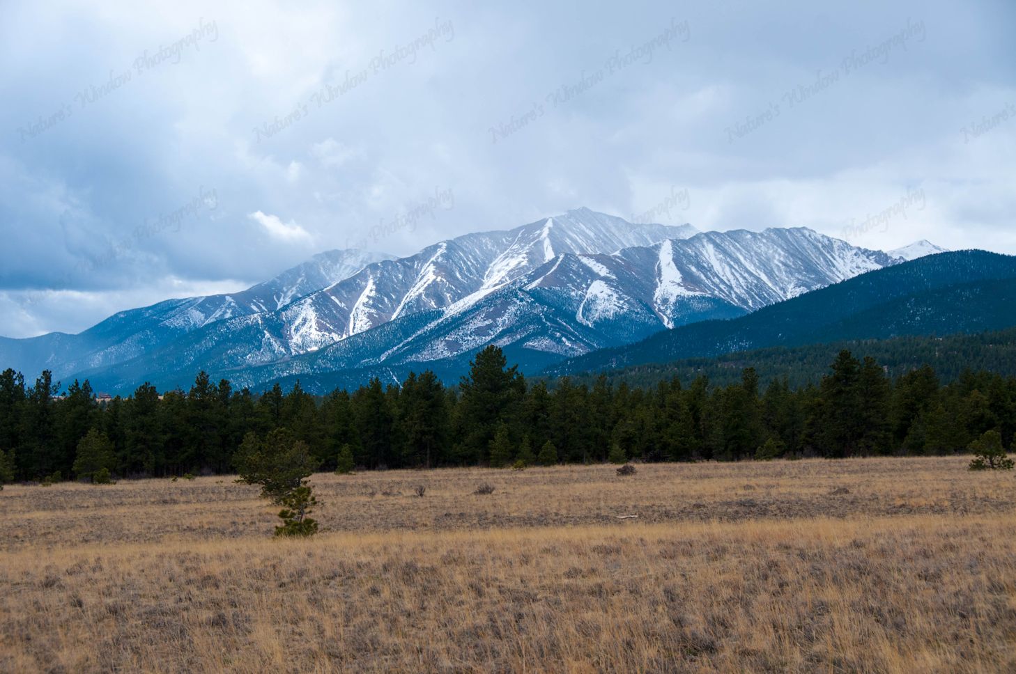 Still Winter Up High